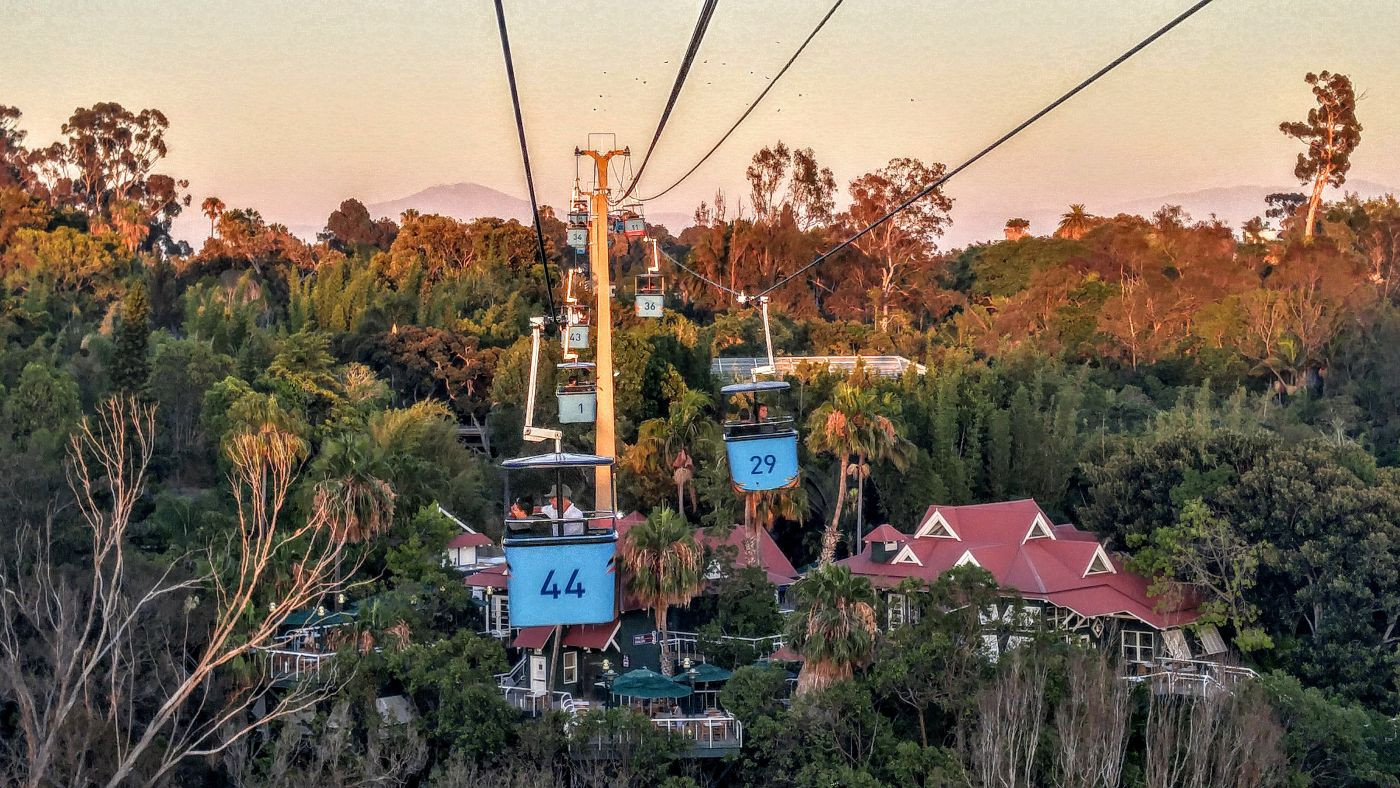 Why is San Diego Zoo the best zoo? - Local Guides World