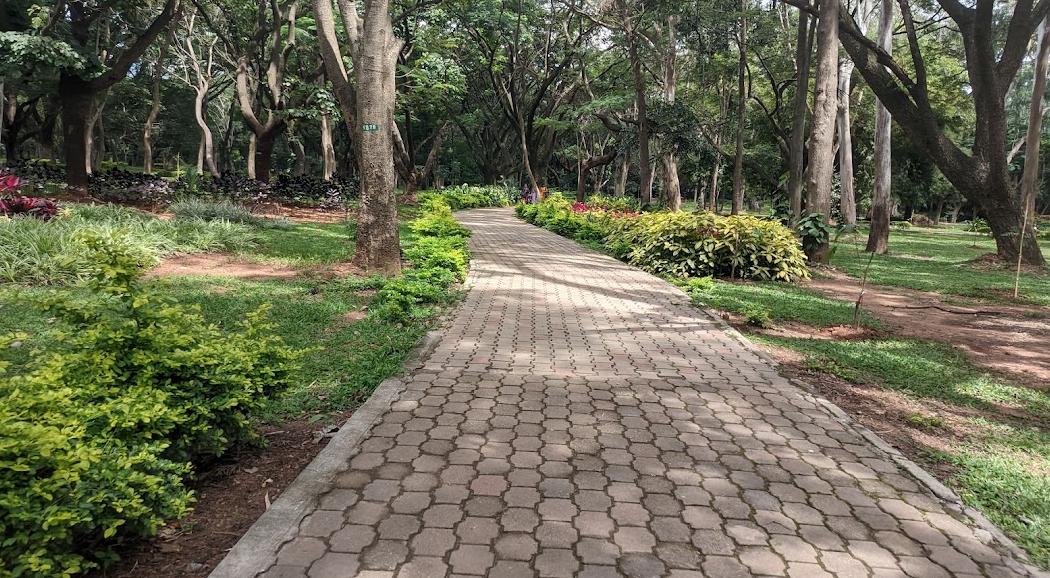 Where is Cubbon Park (Bengaluru, India) Reasons to Visit the Cubbon Park