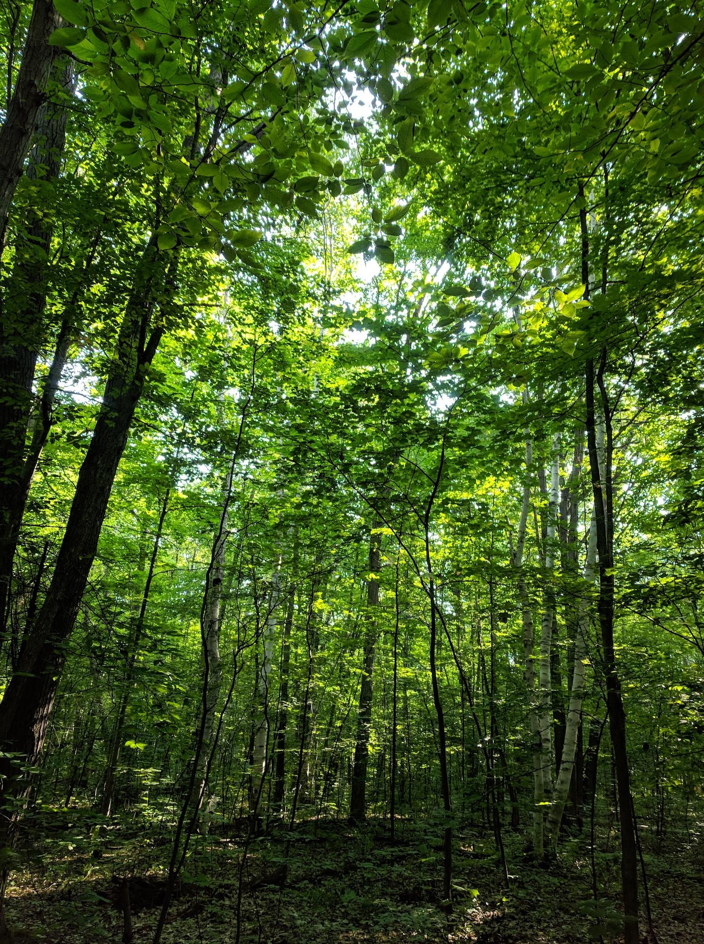 Where is Snake Campground (Tiny, Canada) Reasons to Visit the Snake ...